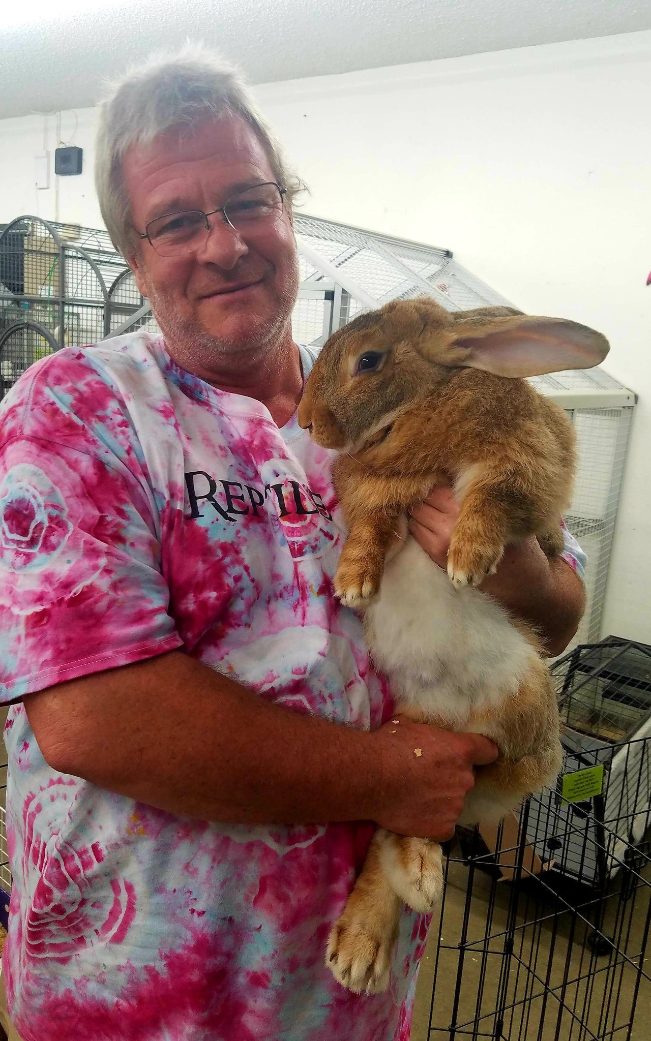 Reptile Ron Animal Presentations – Exotic Animal Presentations in ...